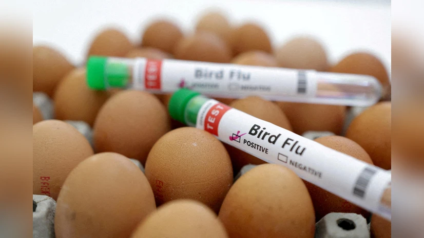 Eastern Japanese region sees season’s 1st bird flu outbreak